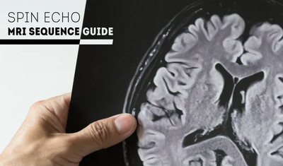 Spin Echo Sequence: MRI Sequence Guide | Medical Professionals
